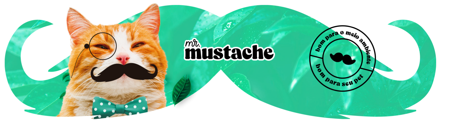 Mr. Mustache